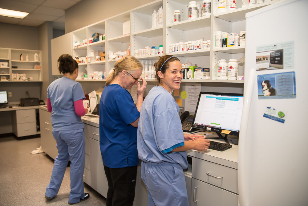 Fort Worth Image Gallery | Penny Paws Animal Clinic