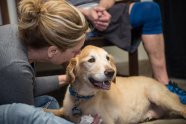 Richland Hills Image Gallery Penny Paws Animal Clinic Richland Hills Image Gallery Penny Paws Animal Clinic