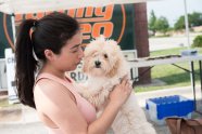 Mobile Vaccination Clinic Image Gallery Penny Paws Animal Clinic