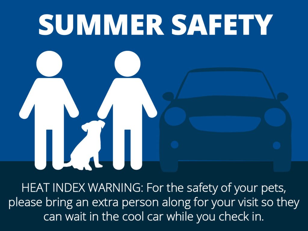 Penny Paws | Veterinarian Near Me | Arlington, Ft. Worth & Richland ...