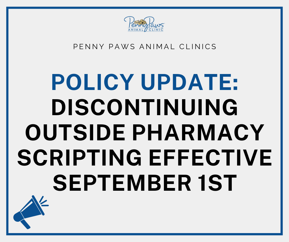 Penny Paws | Veterinarian Near Me | Arlington, Ft. Worth & Richland ...